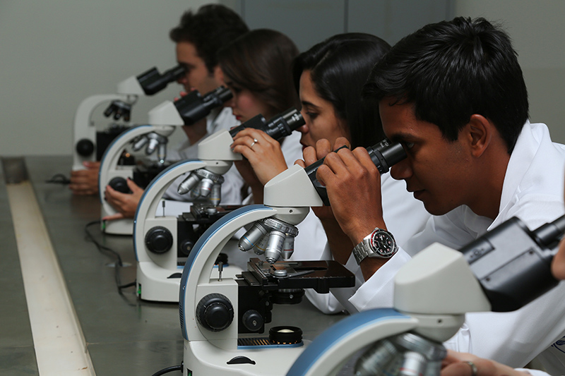 UNIFUCAMP | Laboratórios - UNIFUCAMP